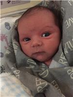 Lucas Christopher Lala - American Press | American Press