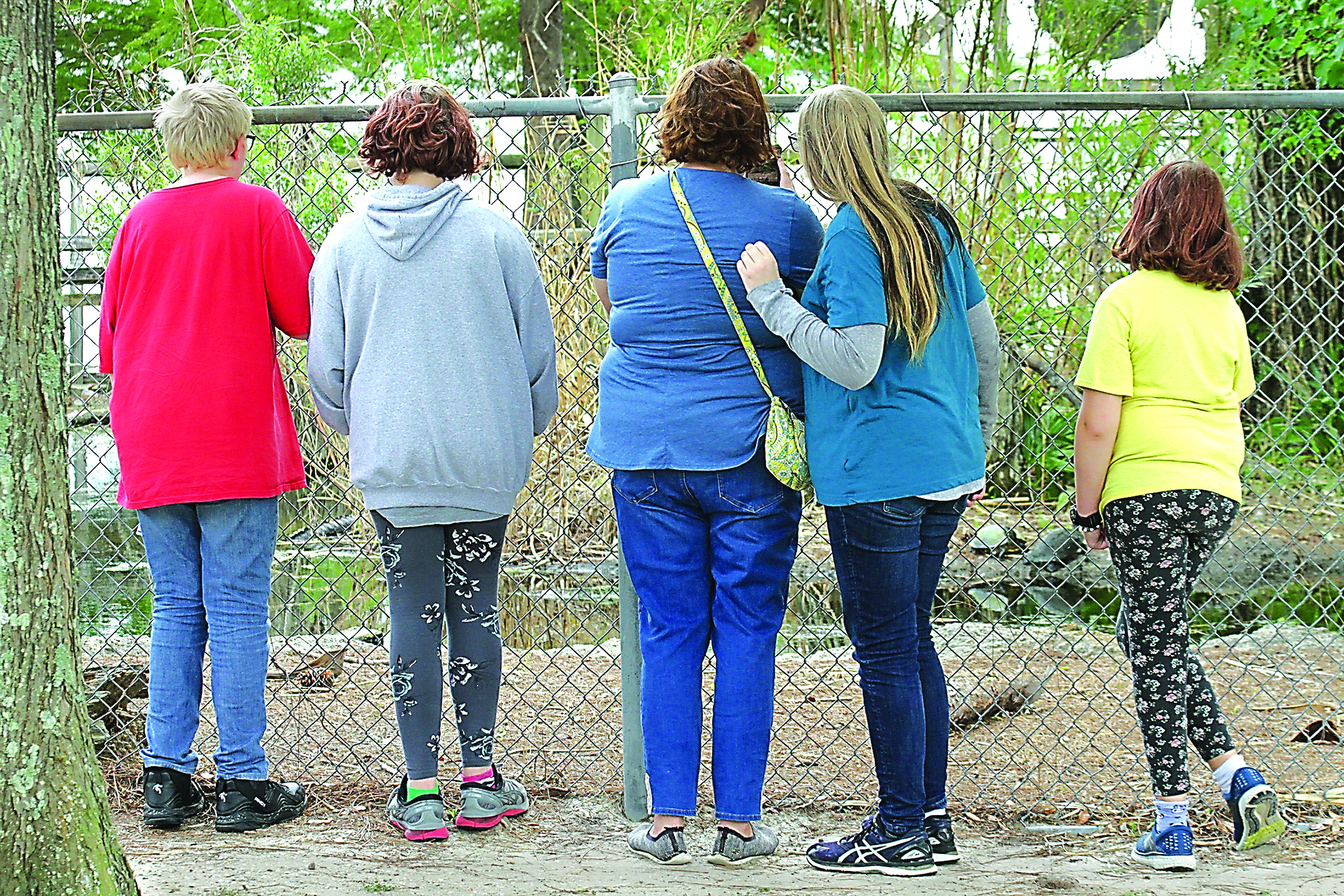Photo Gallery: A Day at the Lake Charles Gator Pond | American Press