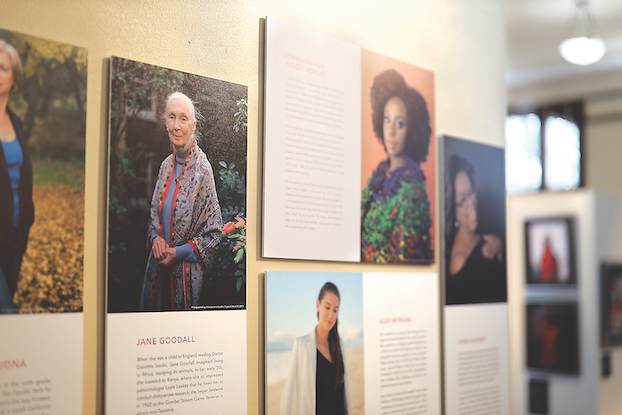 Historic City Hall Arts opens National Geographic exhibit | American Press