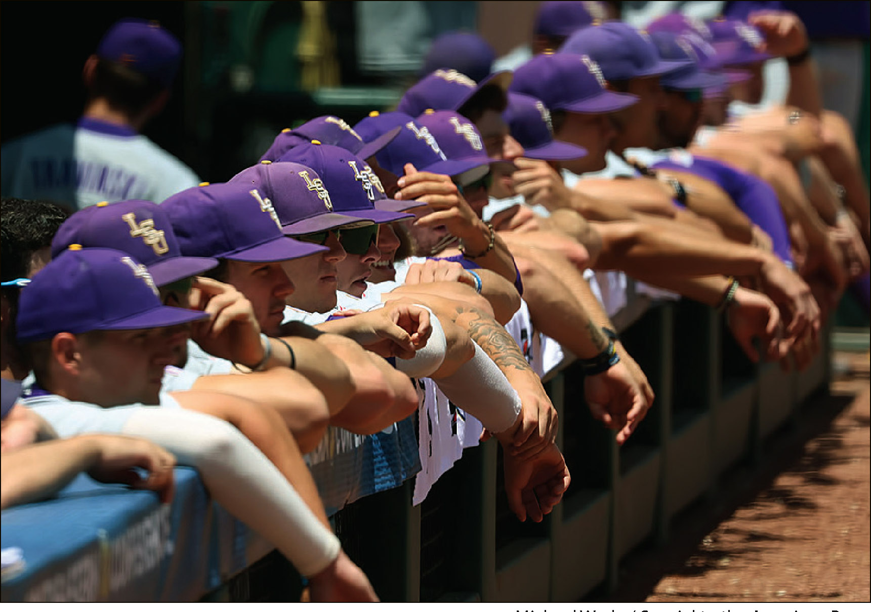 Saturday declared ‘LSU Baseball Day’ in Louisiana | American Press
