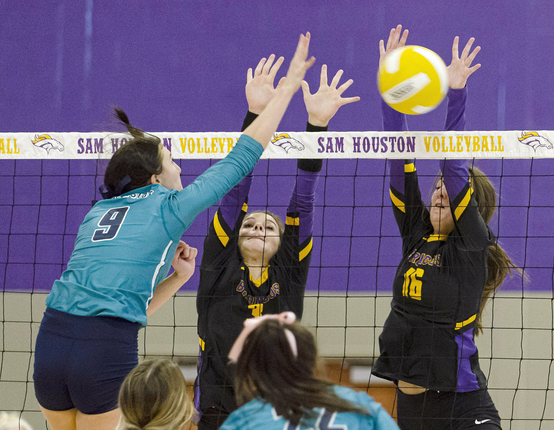 State tourney on the minds of area volleyball teams as season begins | American Press