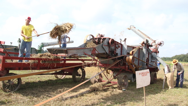 Old Time Rice Threshing Day is trip back in time for attendees | American Press