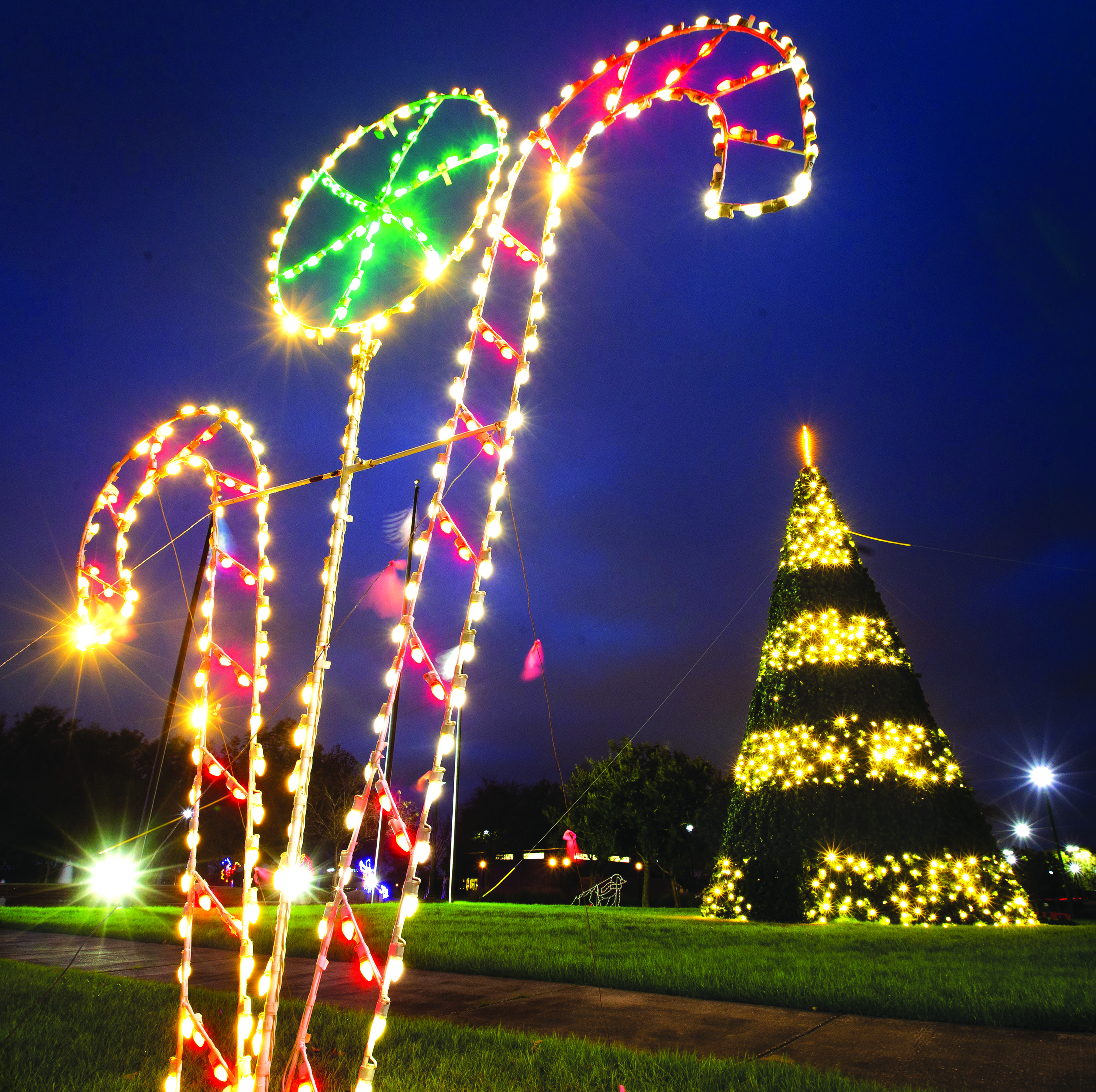 Lights at Christmas: Southwest Louisiana is shining brightly this ...