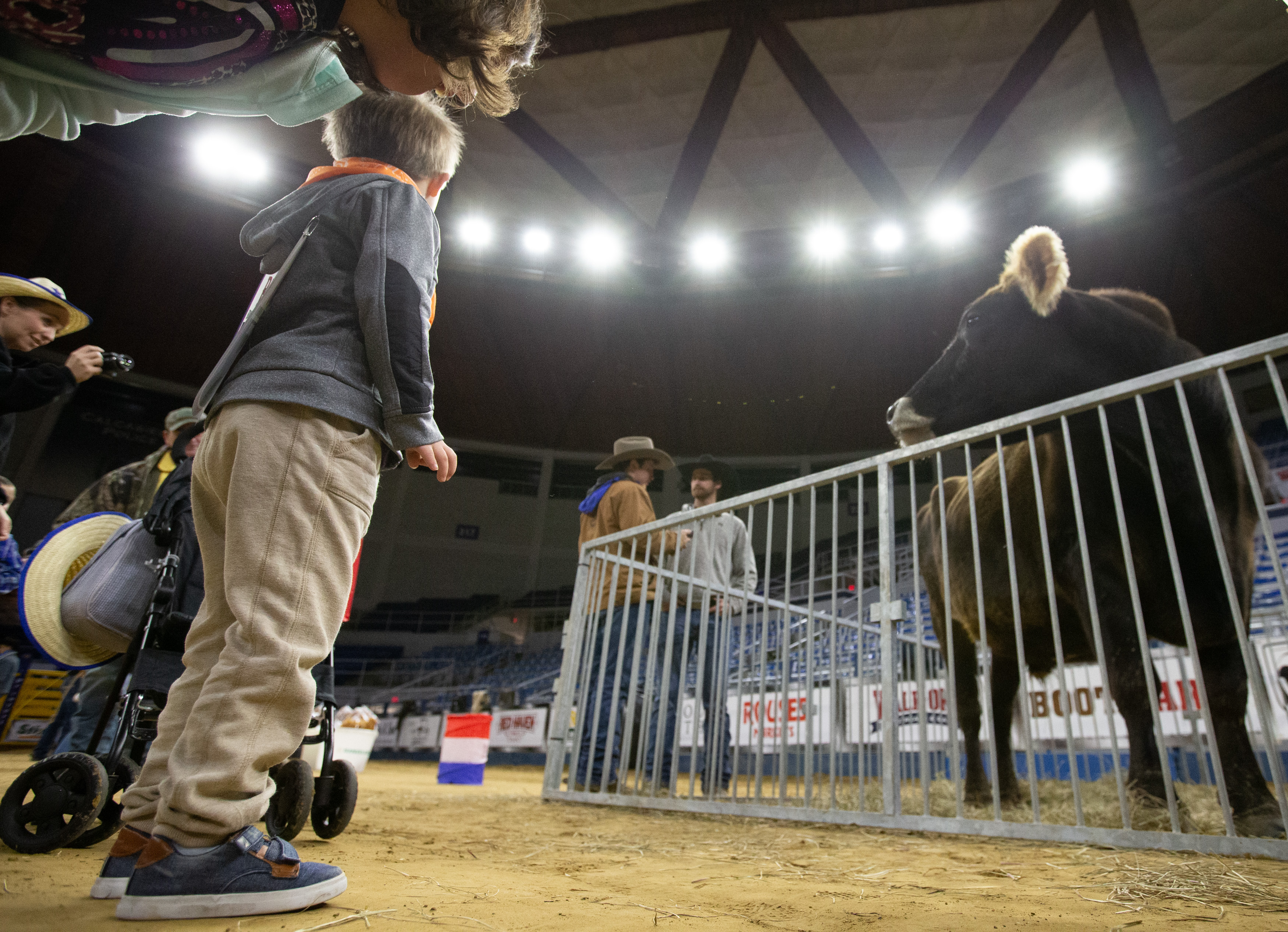 PHOTO GALLERY: Brodeo Buckaroos | American Press