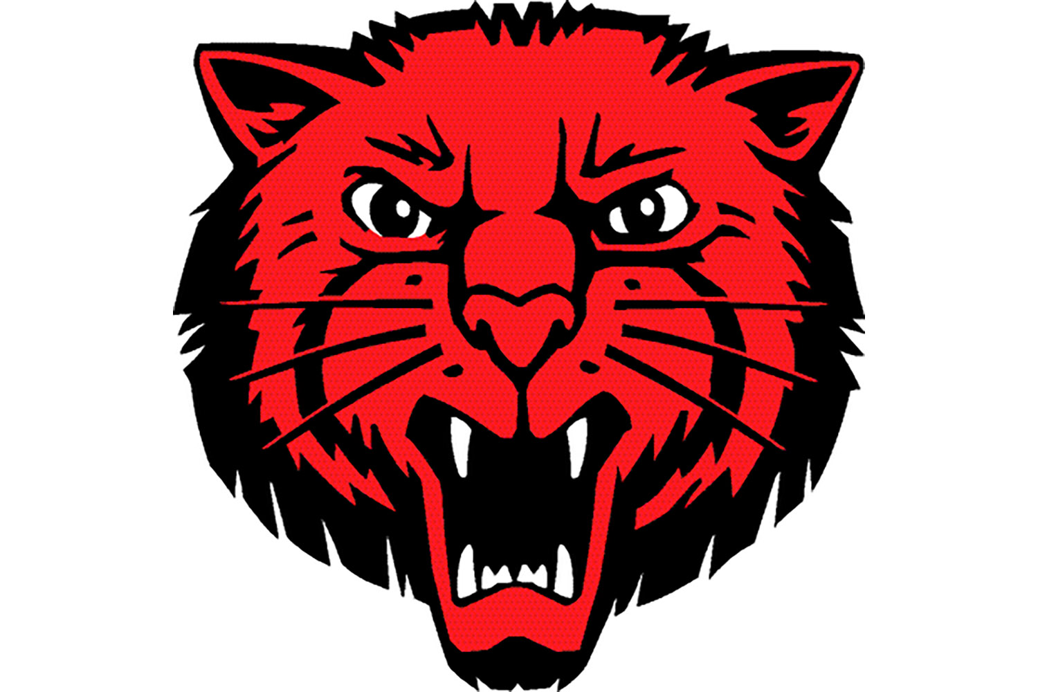 Basile: Bearcats sticking to ‘Iron Man football’ | American Press