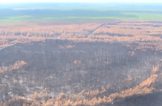 Edwards: Far from being back to normal as massive Tiger Island Fire ...