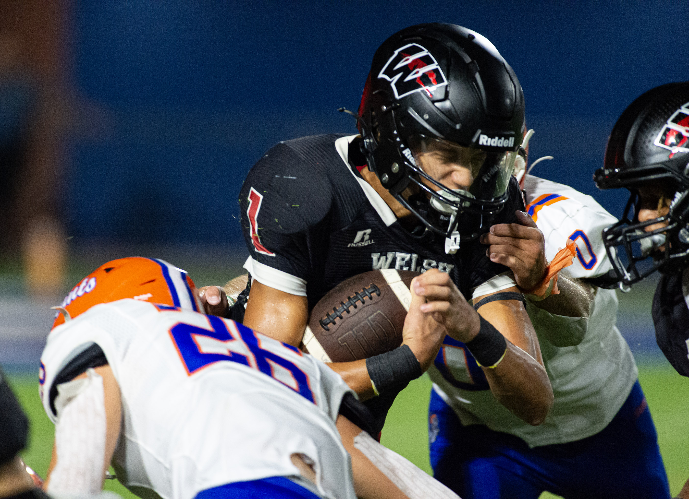 PHOTO GALLERY: SPOT Therapy Jamboree - American Press | American Press