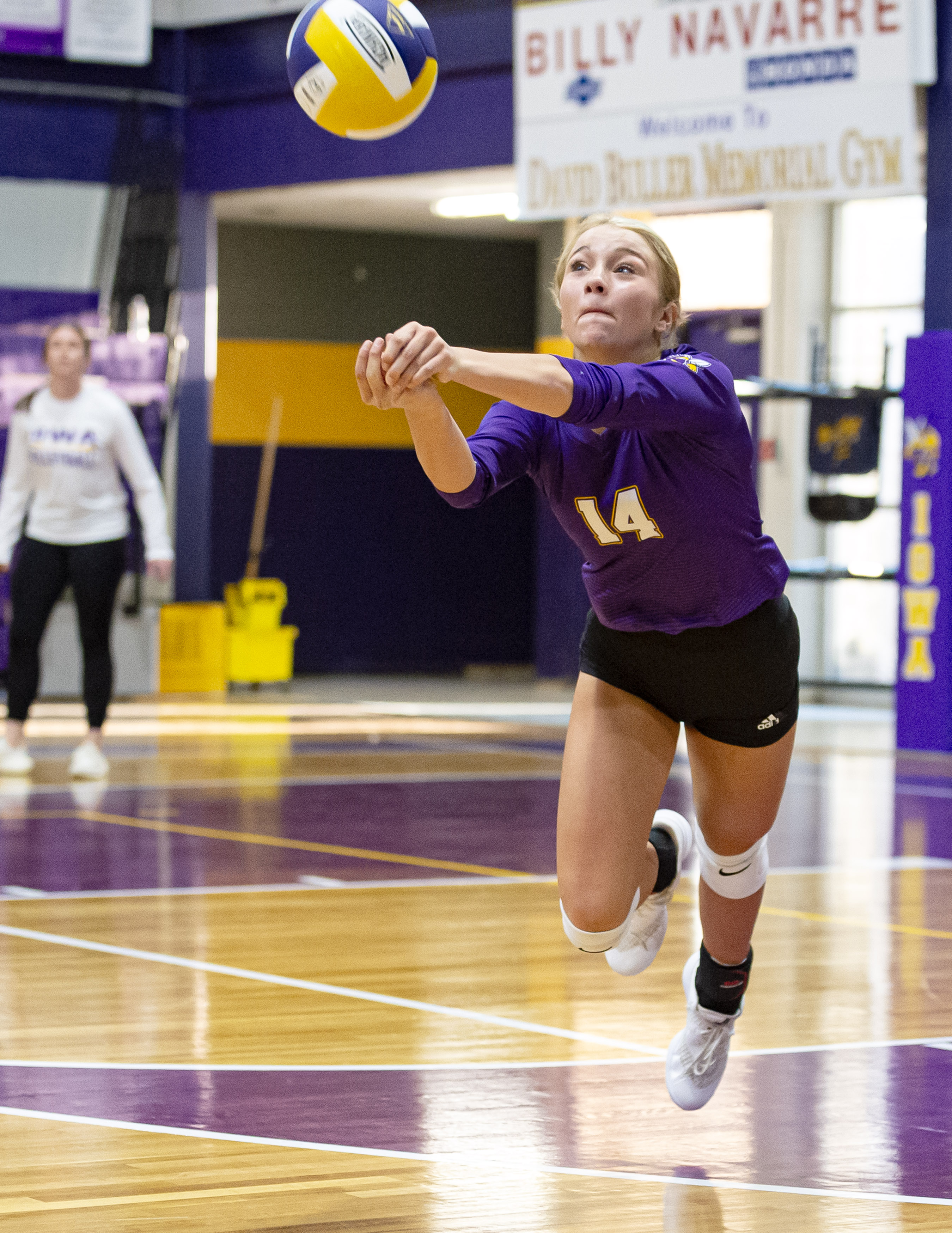 PHOTO GALLERY: St. Louis beats Iowa in five sets - American Press ...