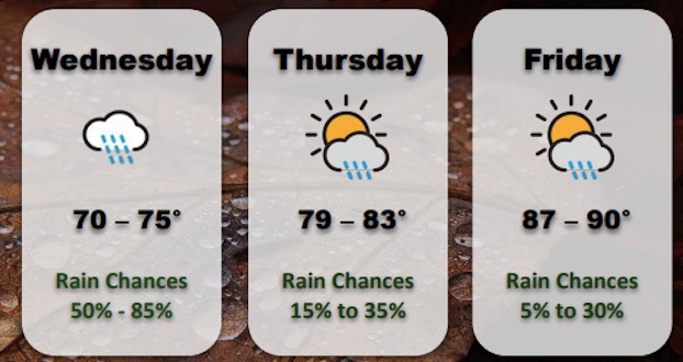 Weather Watch: Much-needed rain could be on way for SW La. | American Press