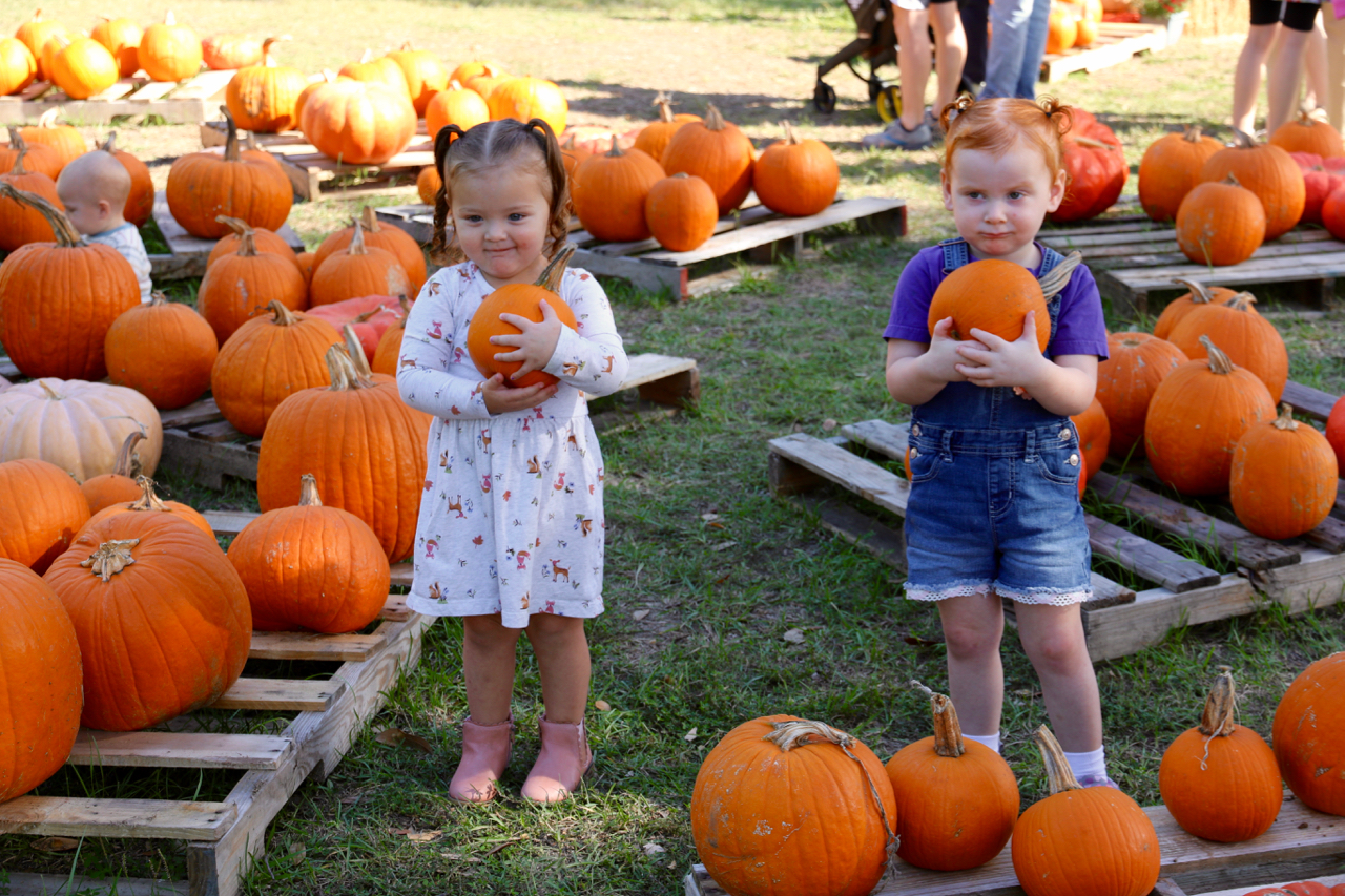 Pumpkin Patch Kids Logo