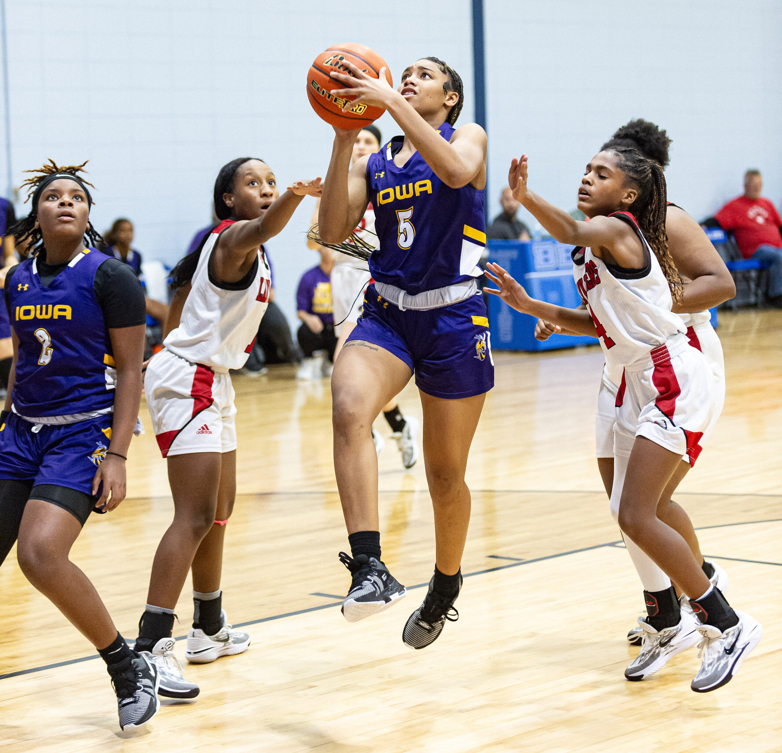 Brief learning curve, Iowa takes to Hollins’ teaching | American Press