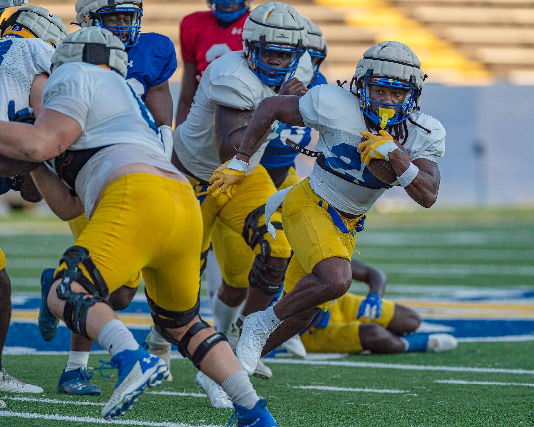 Stable full of backs | American Press