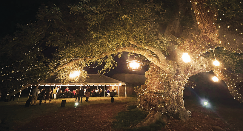 Carols under the Oak: Lake Charles Symphony unites with Imperial ...